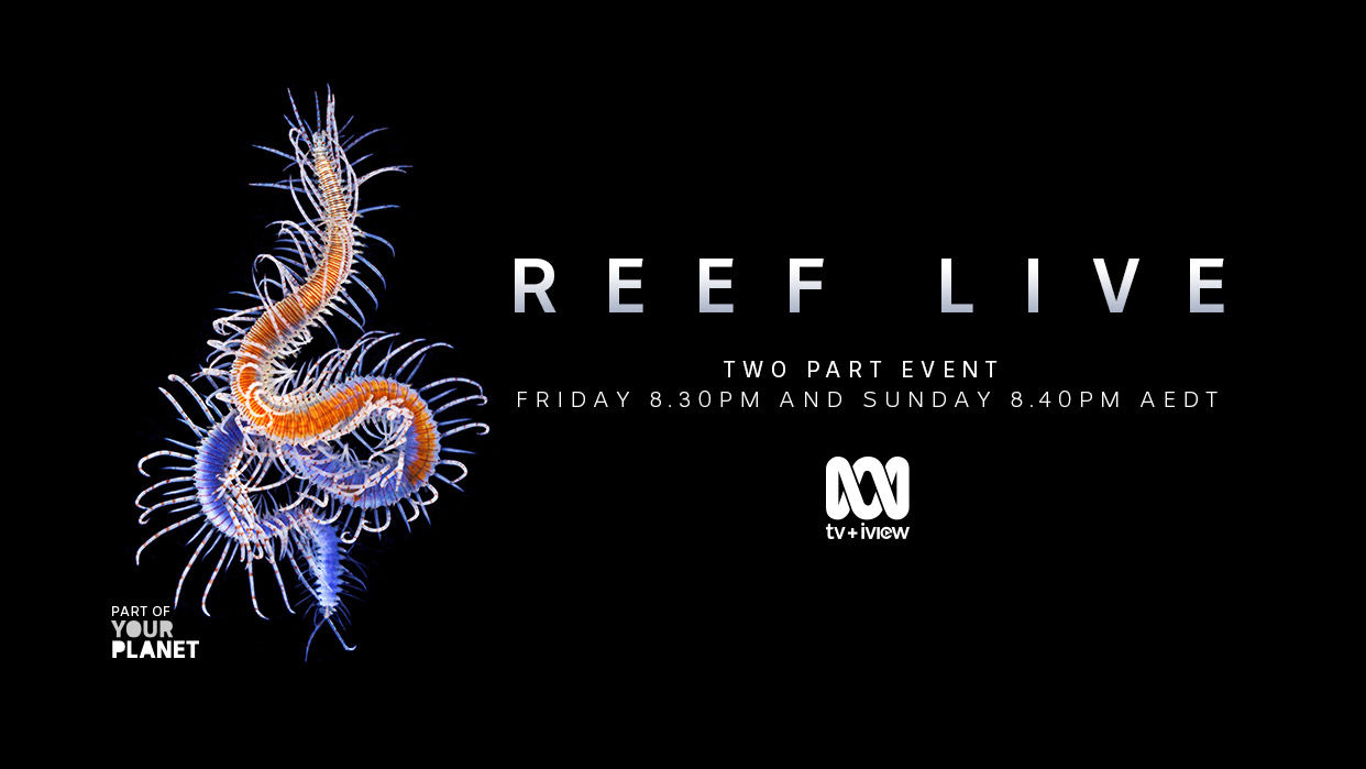 The Great Barrier Reef Foundation’s Reef-saving projects showcased live ...