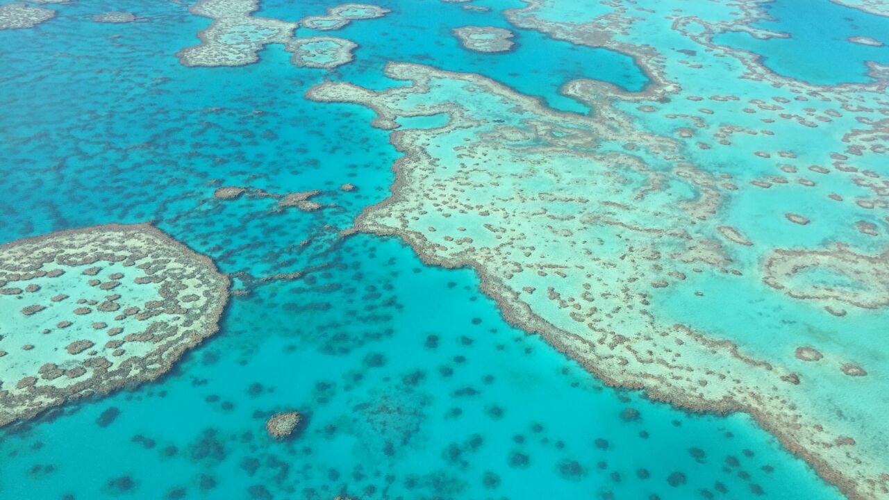 eReefs - Great Barrier Reef Foundation - Great Barrier Reef Foundation USA