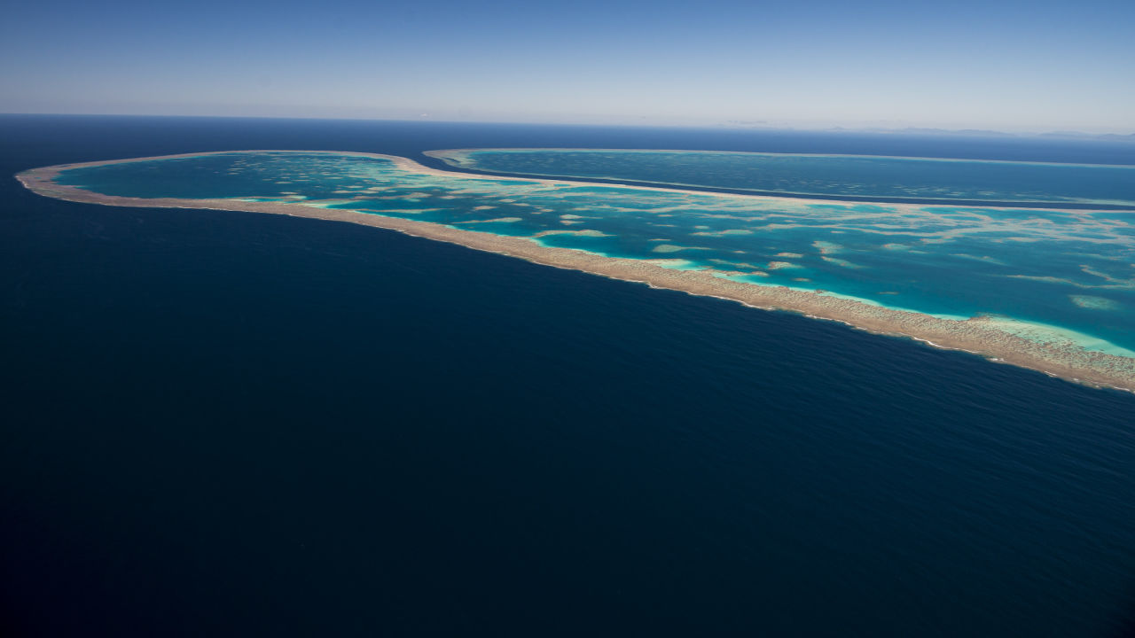 100 reefs may hold the key to regeneration of the Reef - Great Barrier ...