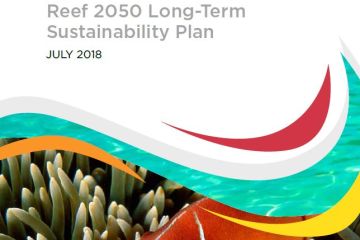 Refreshed Reef 2050 Plan brings urgency to the task - Great Barrier Reef Foundation USA