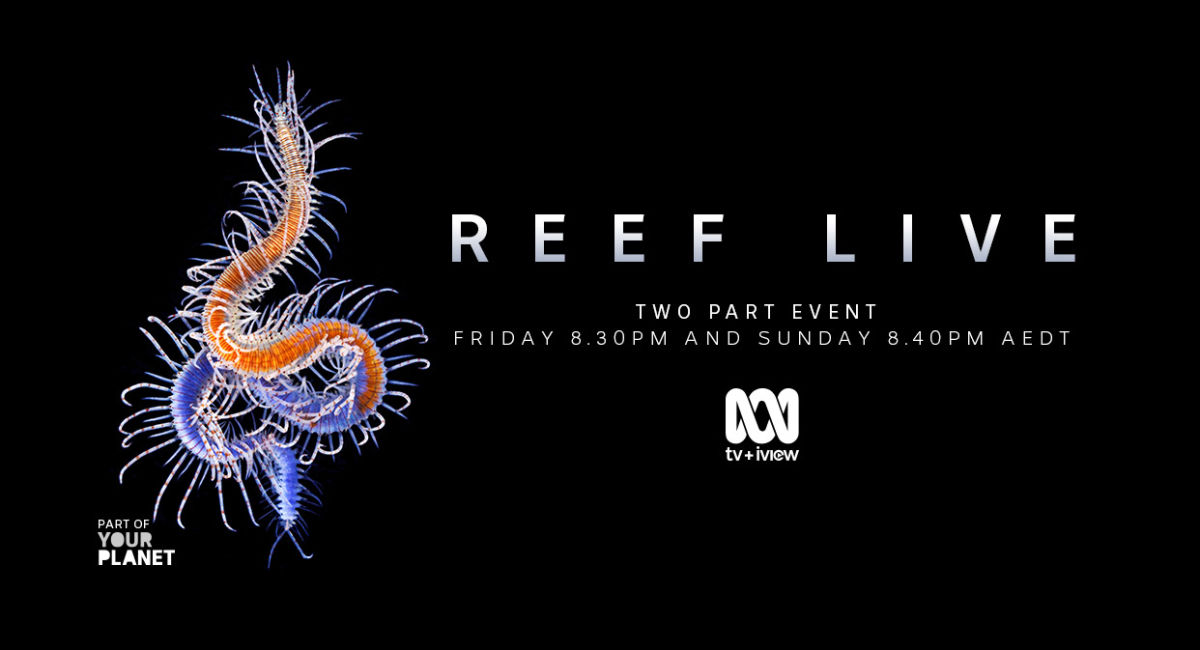 The Great Barrier Reef Foundation’s Reef-saving projects showcased live ...