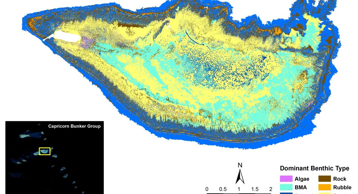 Live Habitat Mapping - Great Barrier Reef Foundation - Great Barrier Reef Foundation USA
