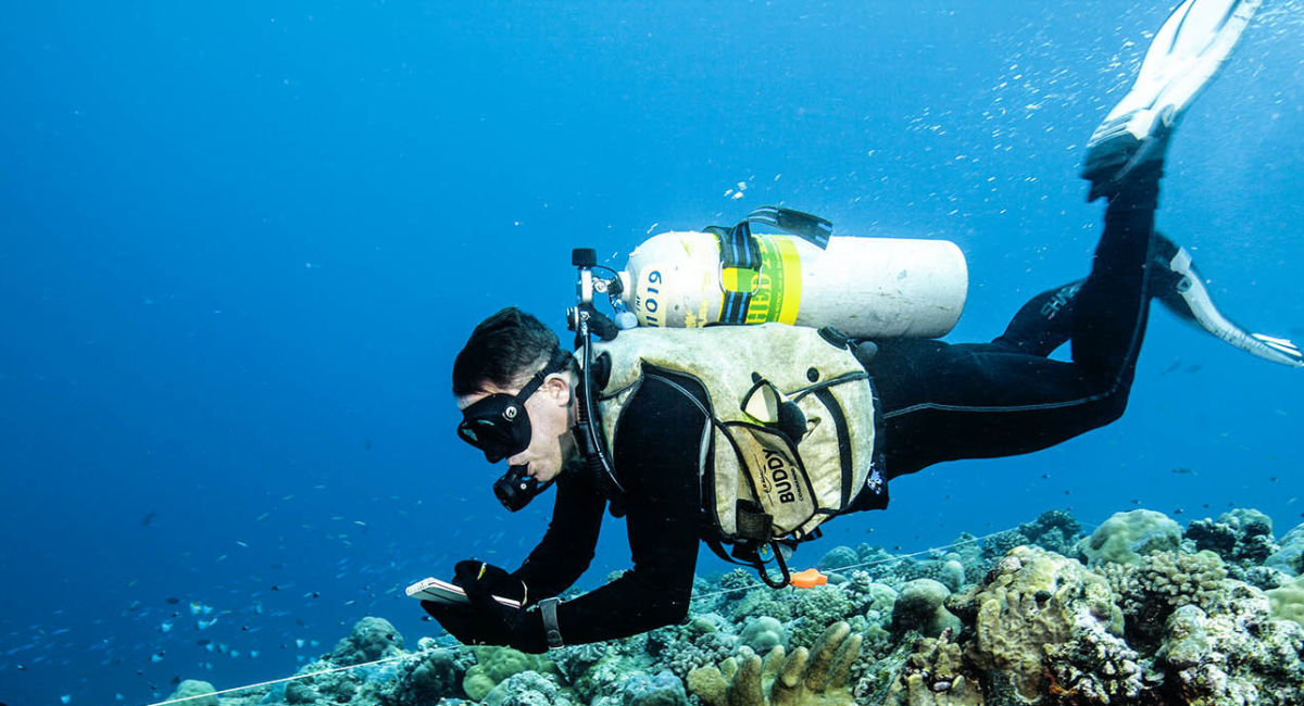 10 questions with the Great Barrier Reef Foundation’s new Chief ...