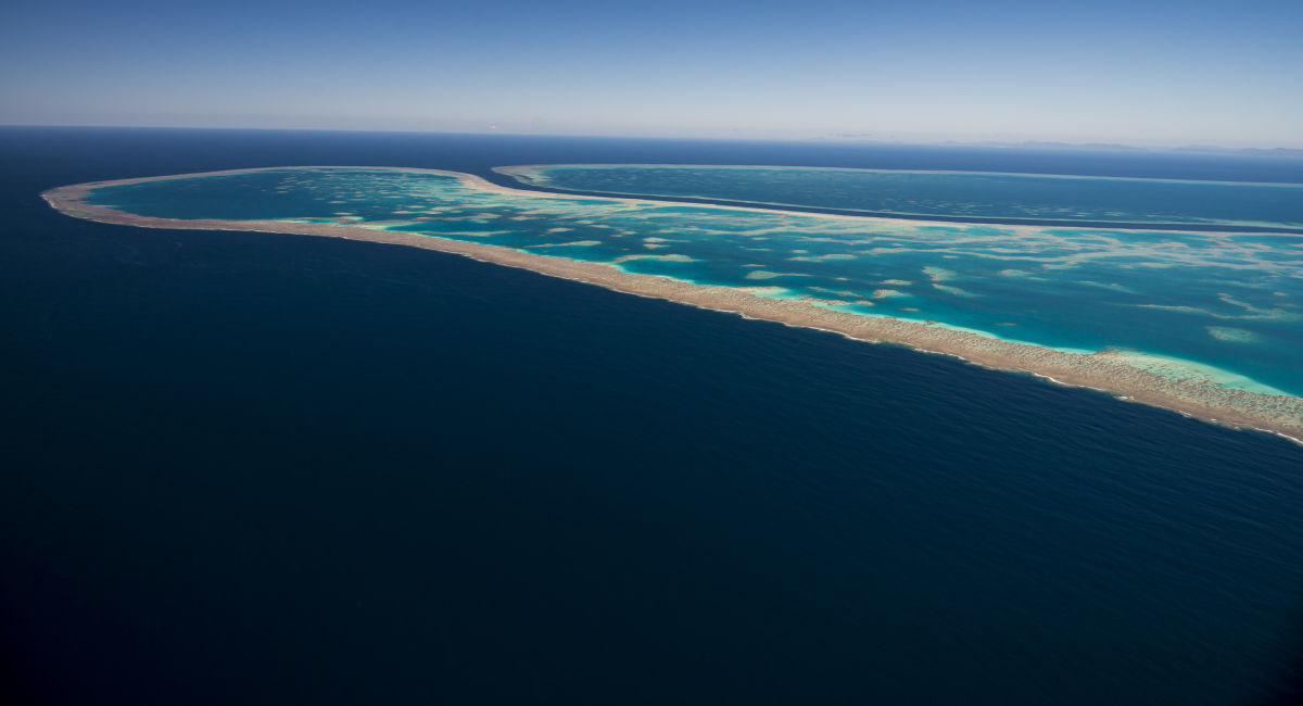 100 reefs may hold the key to regeneration of the Reef - Great Barrier ...